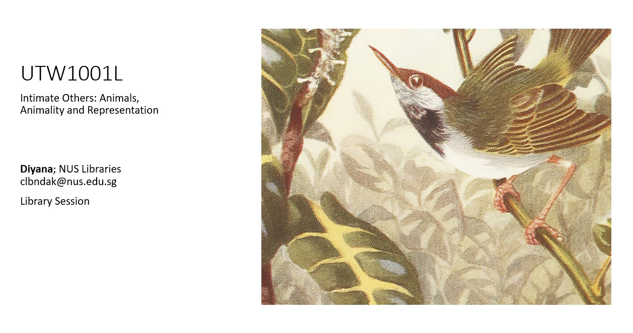 UTW1001L - Ideas and Exposition; Critiques and Expression - LibGuides ...