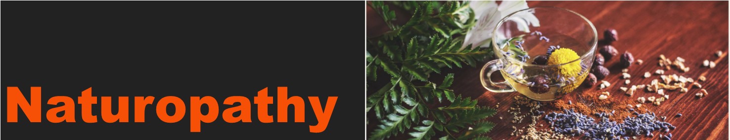 Naturopathy - Subject - Health - Library at Torrens