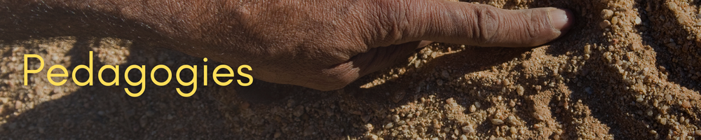 Pedagogies to Consider - Integrating Indigenous Knowledge in the ...