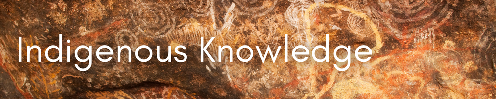 Indigenous Knowledge - Integrating Indigenous Knowledge in the Curriculum - Subject Guides at ...