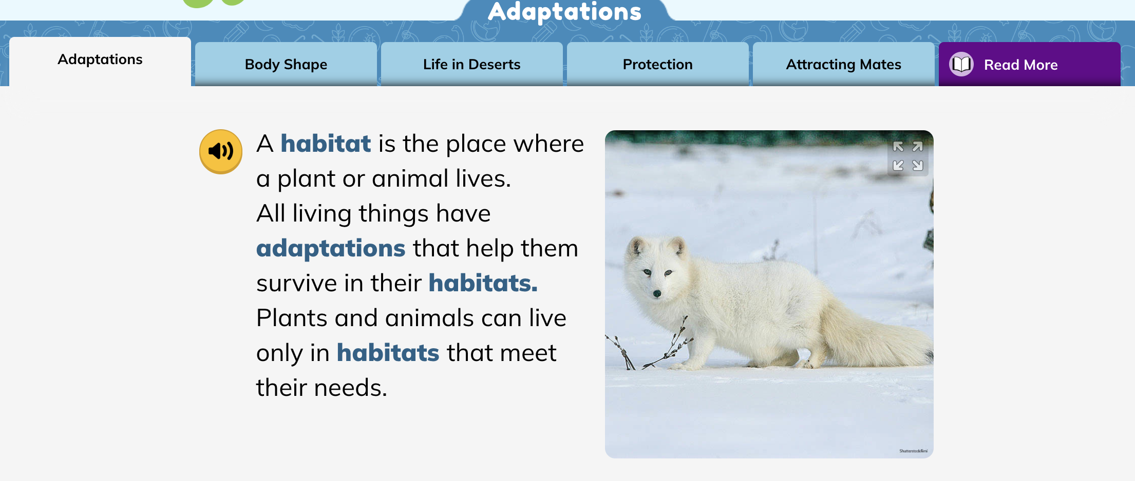 Sharing the Planet - G2UOI - LibGuides at Canadian International School ...