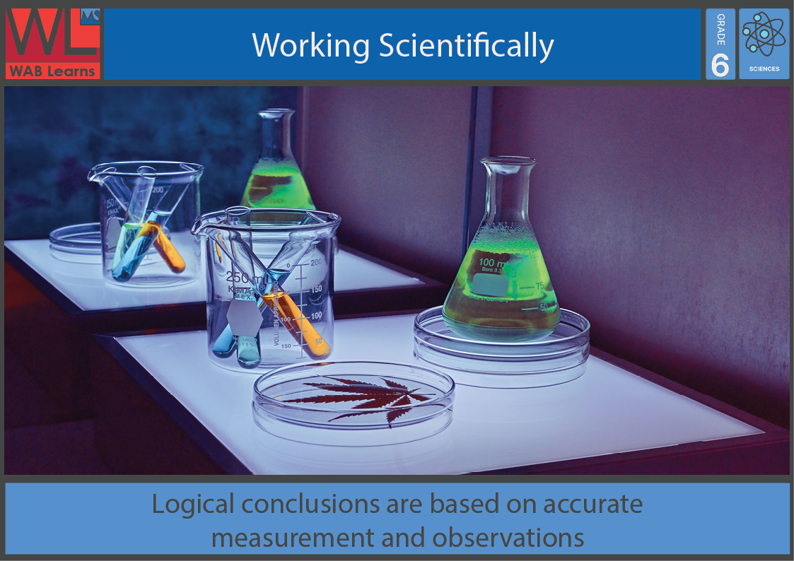 G6 - MYP Sciences - WAB Learns at Western Academy of Beijing