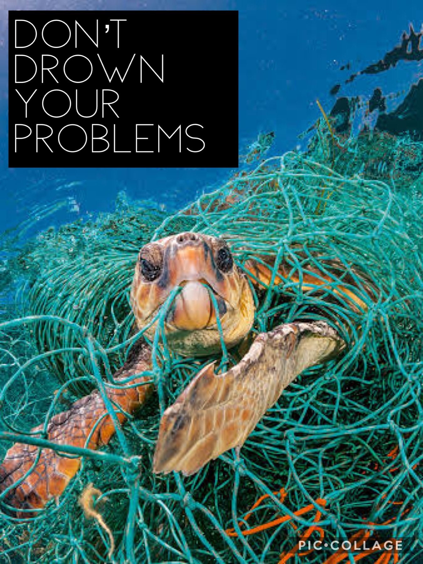 Home - Mater Christi Learning Commons - LibGuides at Mater Christi College