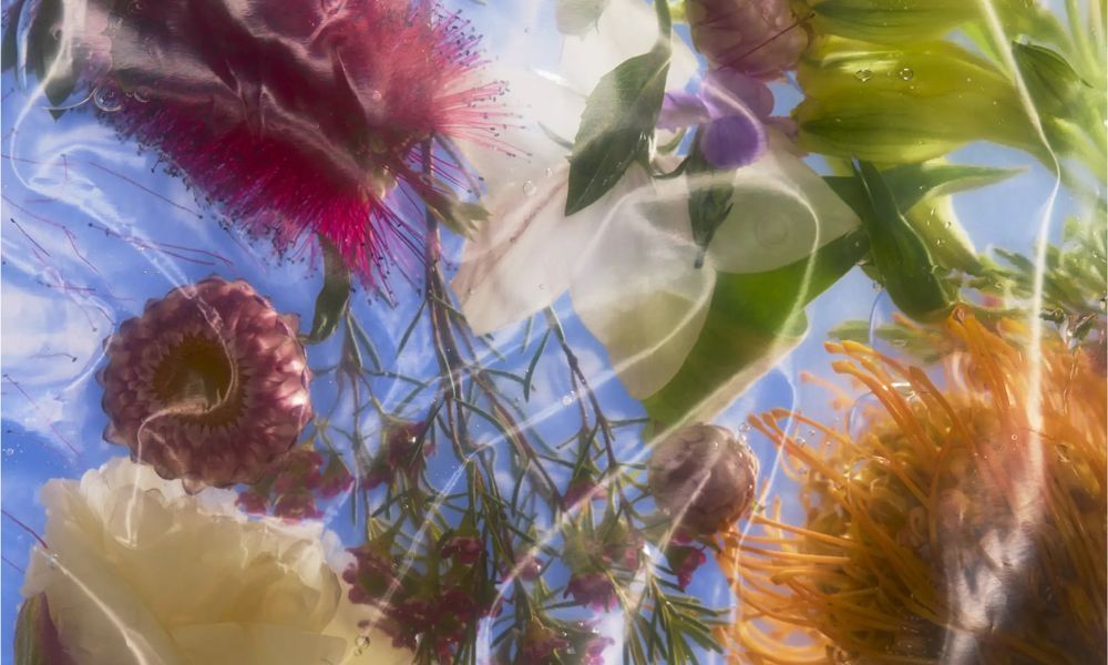 Home - Fashion - LibGuides at TAFE Queensland Library Network