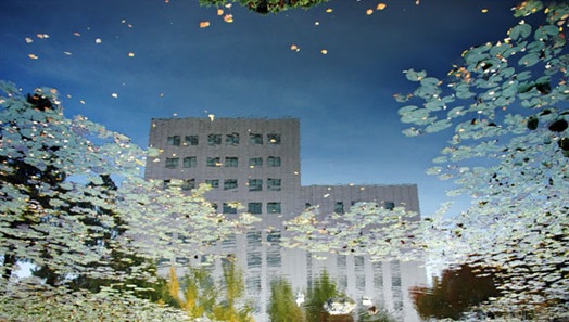 홈 - 학술정보 가이드 at Sejong University
