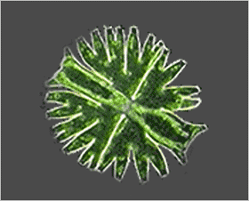 Virtual/Augmented Reality - ASIJ Synthetic Biology - ASIJ LibGuides at ...