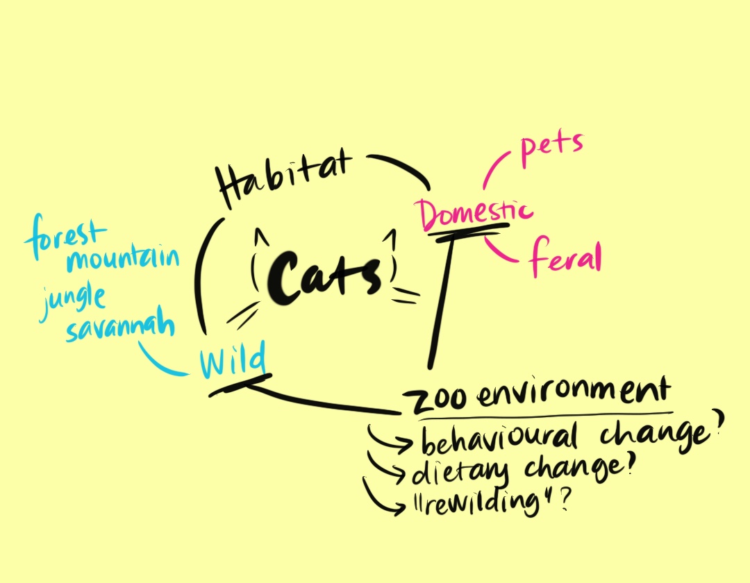 Home - Information Technology - LibGuides at Wellington Institute of ...