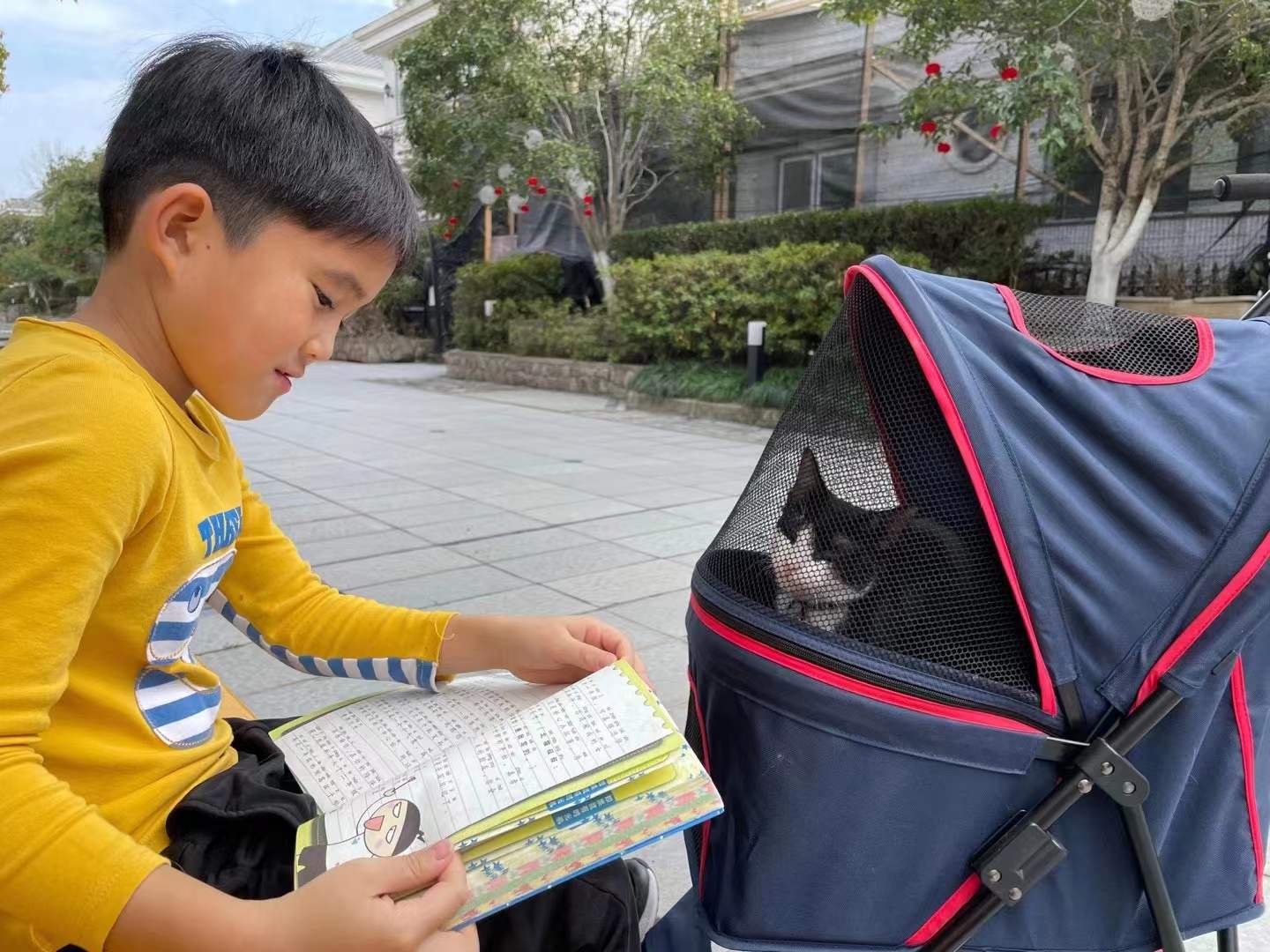 E-Learning Resources - Huili School Library - LibGuides at Huili School ...