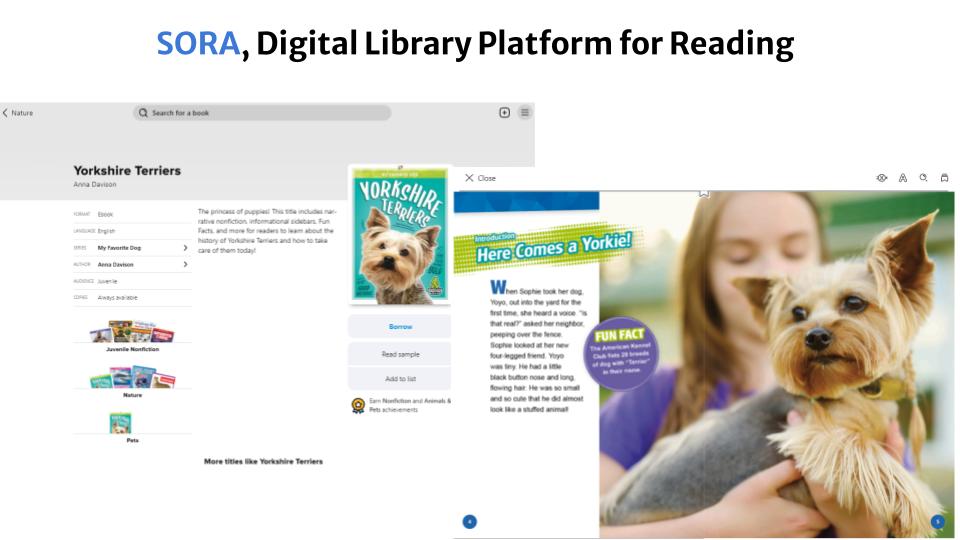 SORA - KISJ Elementary School Library - LibGuides at Korea ...