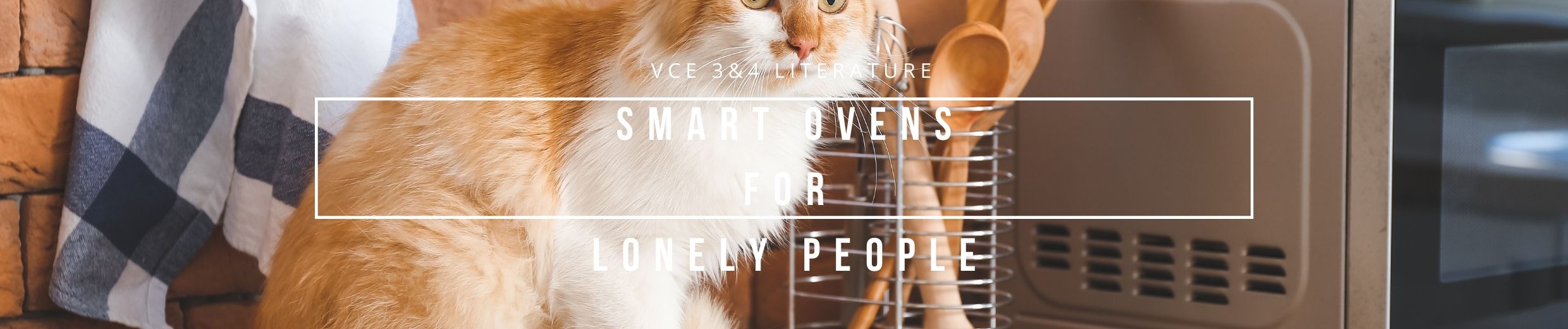 Smart Ovens for Lonely People - VCE - Unit 3 & 4 Literature Study Guide ...