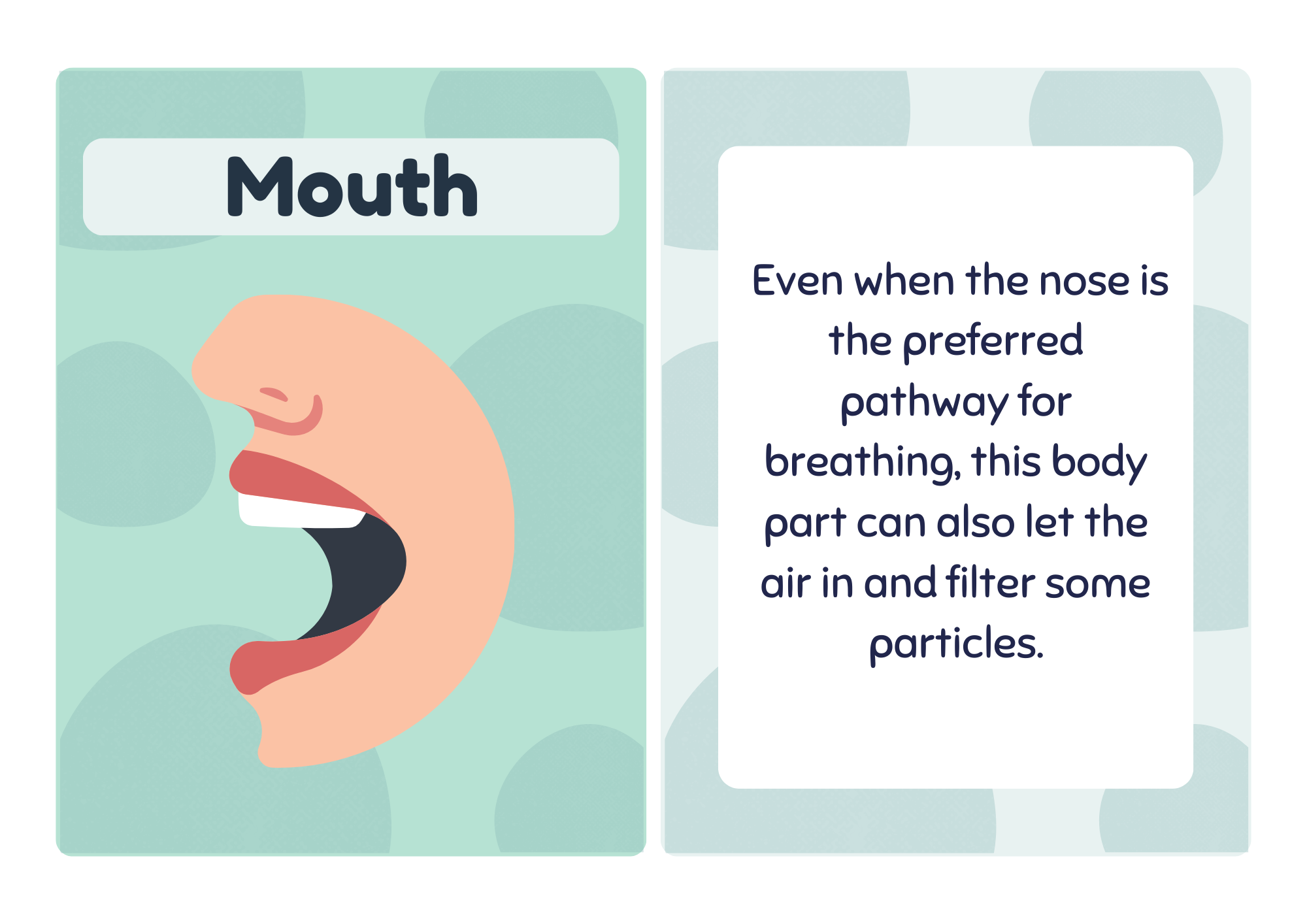 Respiratory System - PYP: Who we are - WAB Learns at Western Academy of ...