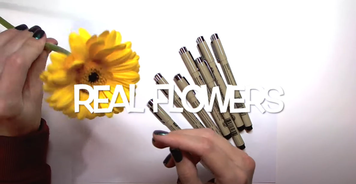 Videos & Images - Floristry - Library at The Gordon