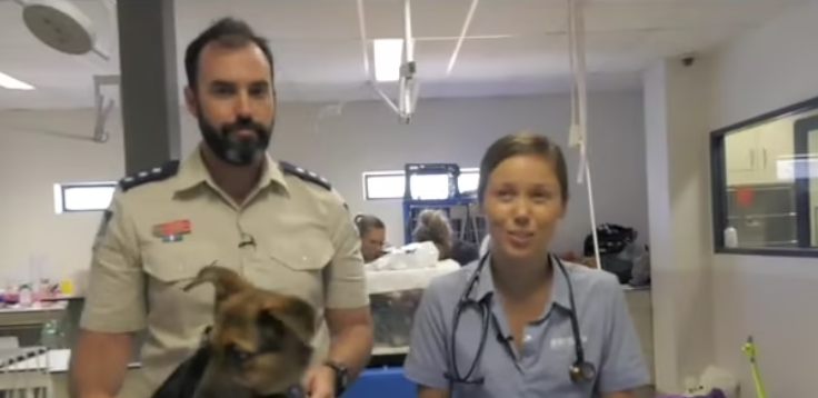 Work in the Animal Care Industry - Animal Studies - Library at The Gordon