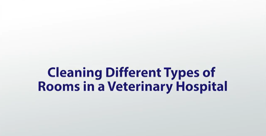 Carry Out Daily Clinic Routines - Veterinary Nursing - Library at The ...