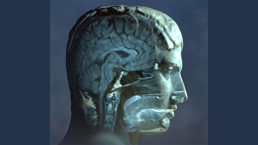 Mental Health & Illness - Community Services - Library at The Gordon