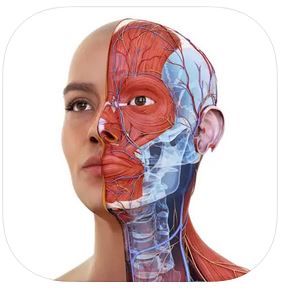 Mobile Apps - Anatomy - LibGuides at The Chinese University of Hong Kong