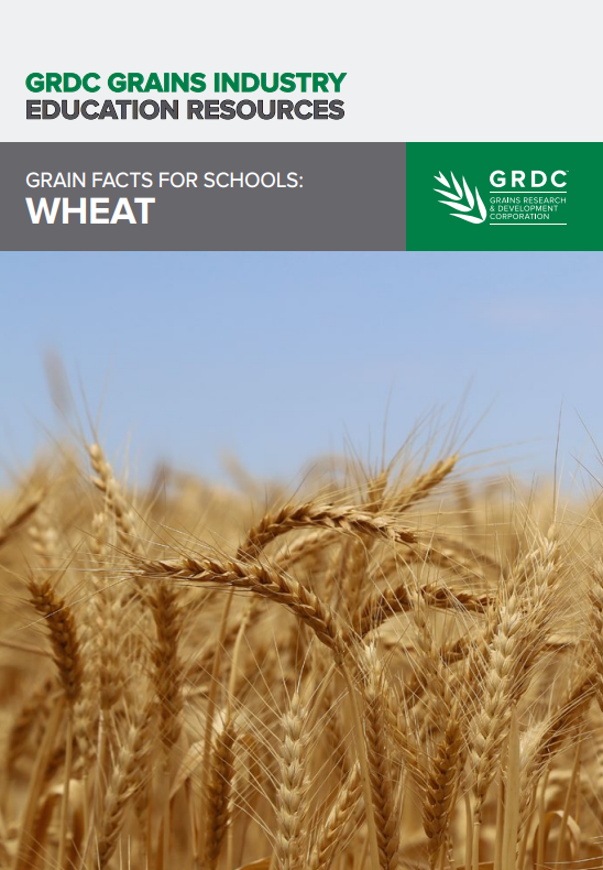 Wheat - Sustainable Biomes - MCcentral MacKillop College at MacKillop ...