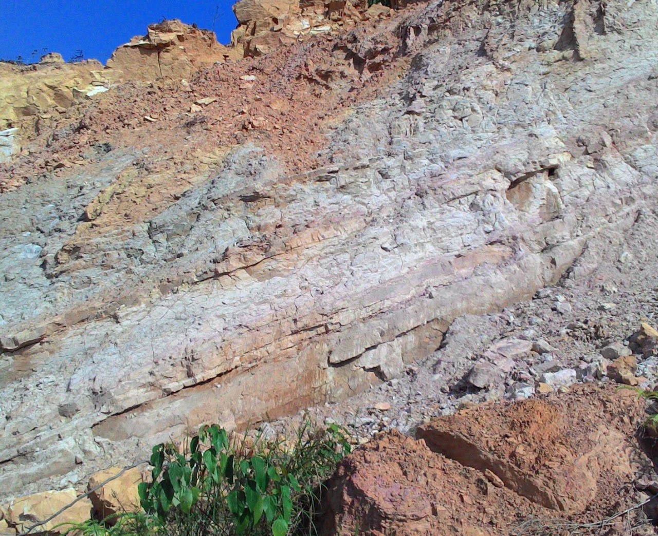 IRC Rock Panel - UTP Geological Rock Garden (GRG) - LibGuides UTP at ...