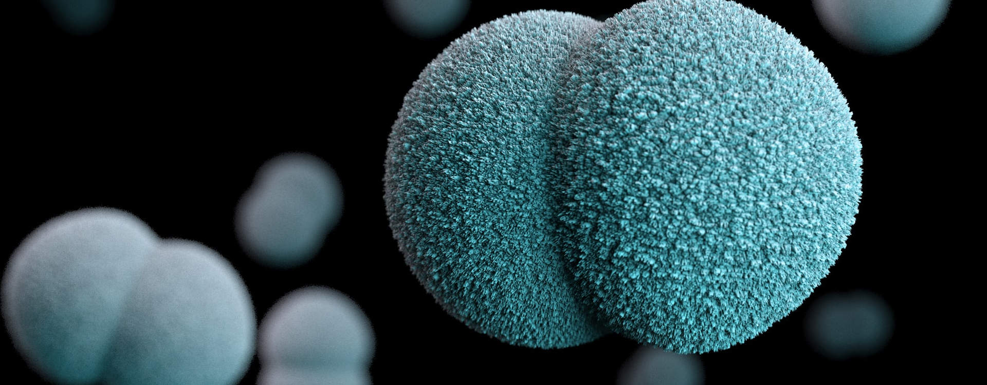 Biomedical Sciences - Biomedical sciences - Library Guides at ...