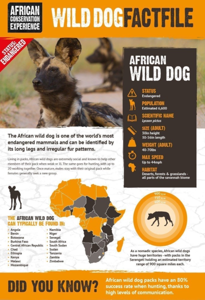 African Animals - Africa - Geography - LibGuides at Trinity College