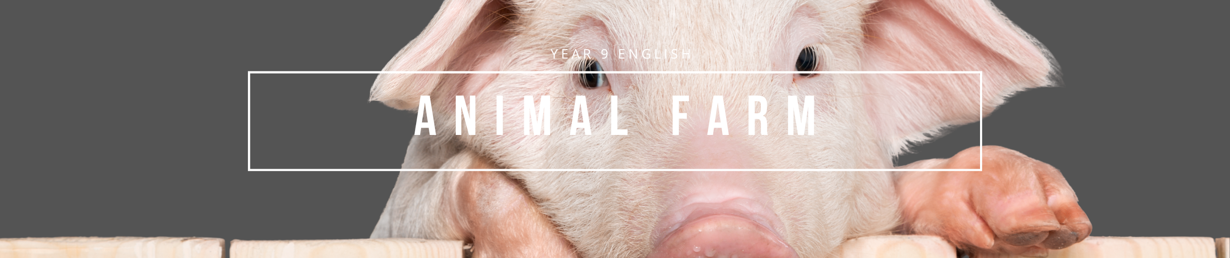 Animal Farm - Year 9 English Study Guide - Research guides at ...