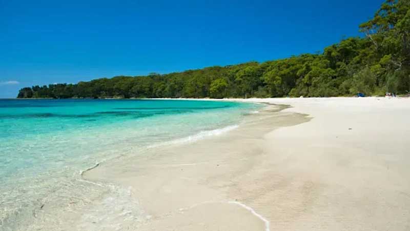 Home - Student Hub - Torrens and Think at Torrens Global Education