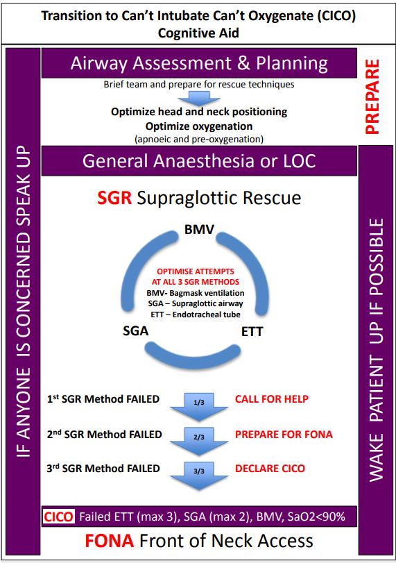 Books & e-books - Airway management - Library guides at Australian and ...