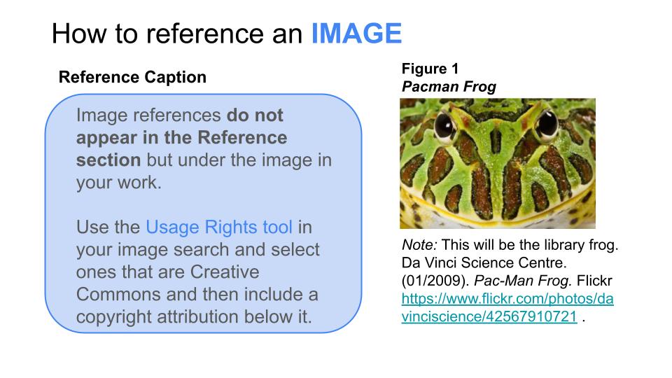 Teachers - RC Library - LibGuides at Renaissance College Hong Kong