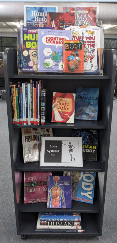 Disorders/Diseases - Body Systems - Yr 8 Science: Body Systems ...