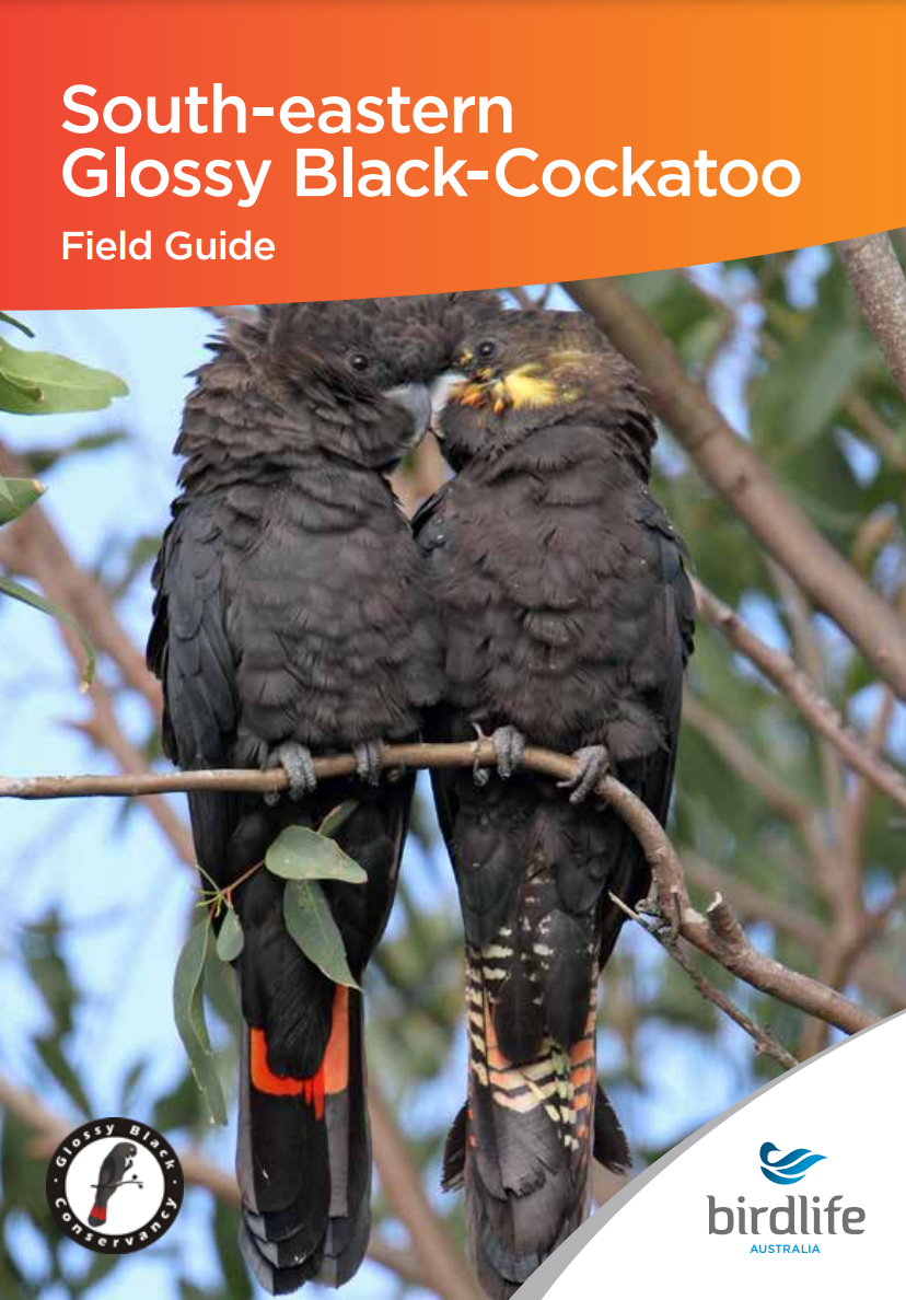 Black Cockatoos - How do we safeguard our future? - LibGuides at Bob ...