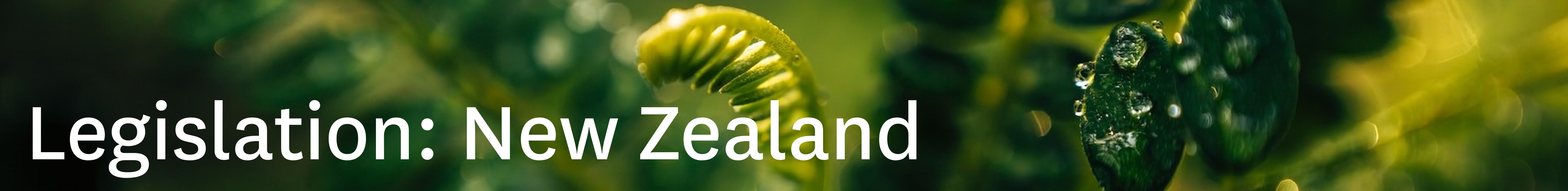 New Zealand Legislation LibGuides At University Of Auckland New Zealand New Zealand Legislation LibGuides At University Of Auckland New Zealand