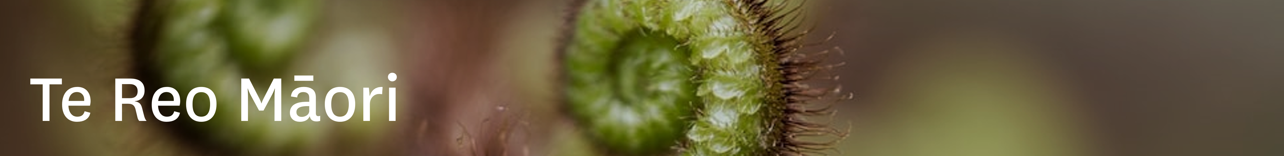 Home - Te Reo Māori - LibGuides at University of Auckland New Zealand